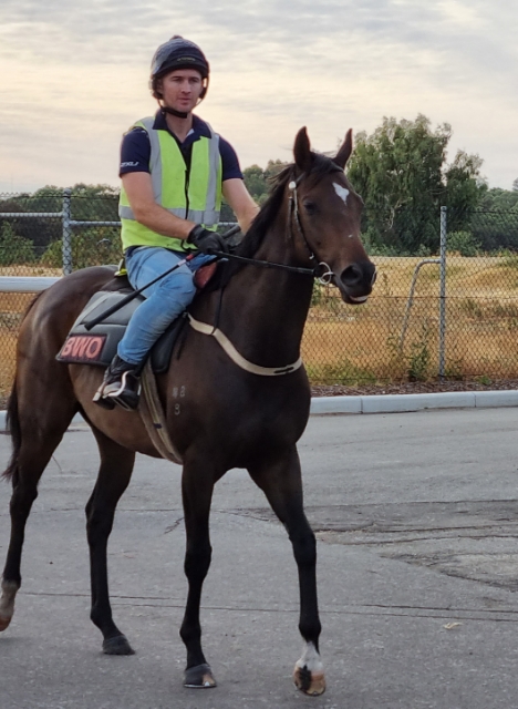 Gallery | Diamond Racing